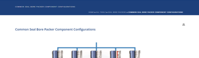 Seal Bore Packers Archives - Pinnacle Oil Tools